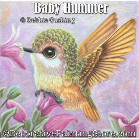 Baby Hummer (Colored Pencil) Painting Pattern Download - Debbie Cushing ...